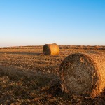 1010 KSIR | Colorado's Ag Station